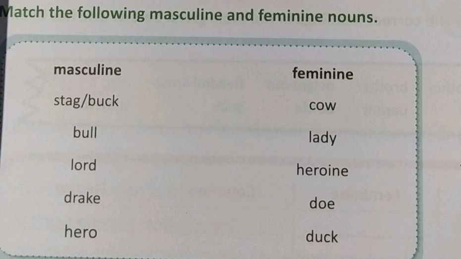 Match the following masculine and feminine | StudyX