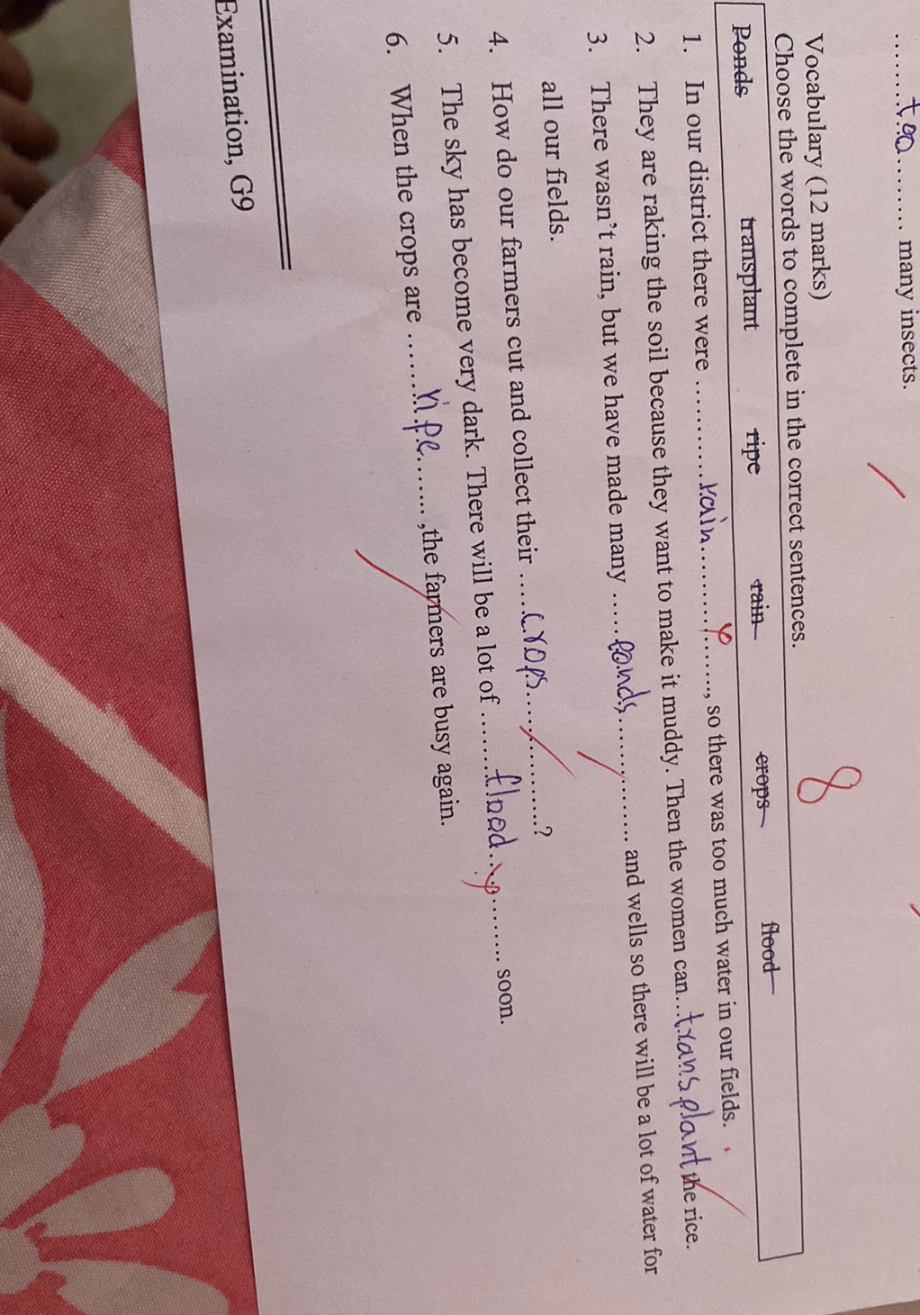 Vocabulary (12 marks) Choose the words to | StudyX
