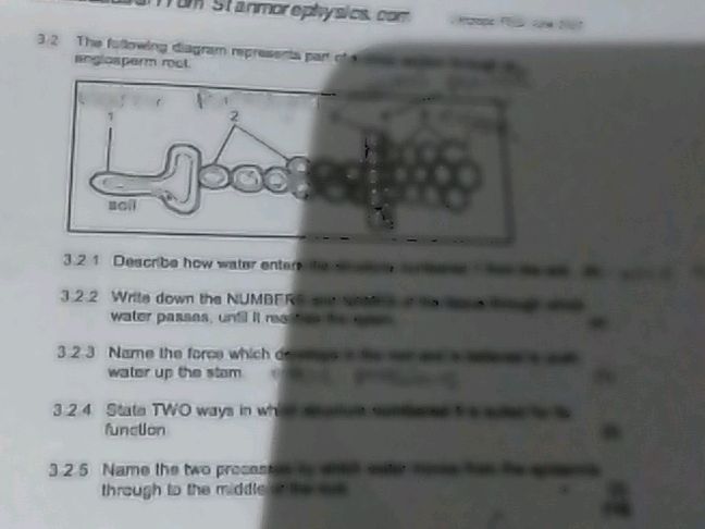 3.2 The following diagram represents part of | StudyX