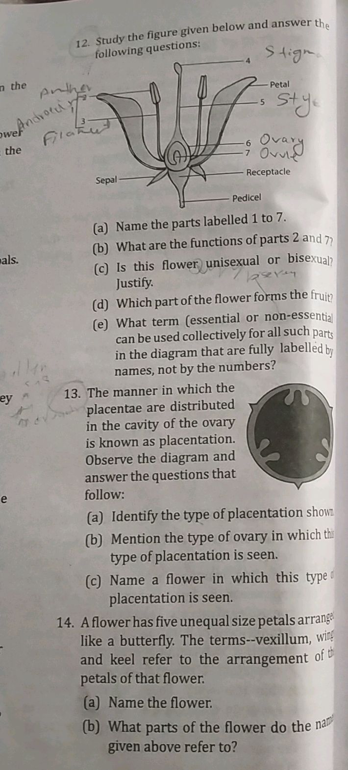 12. Study the figure given below and answer | StudyX