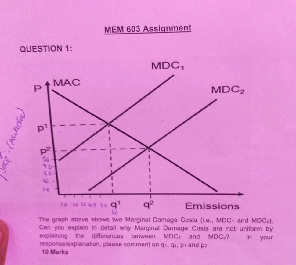 QUESTION 1: The graph above shows two | StudyX