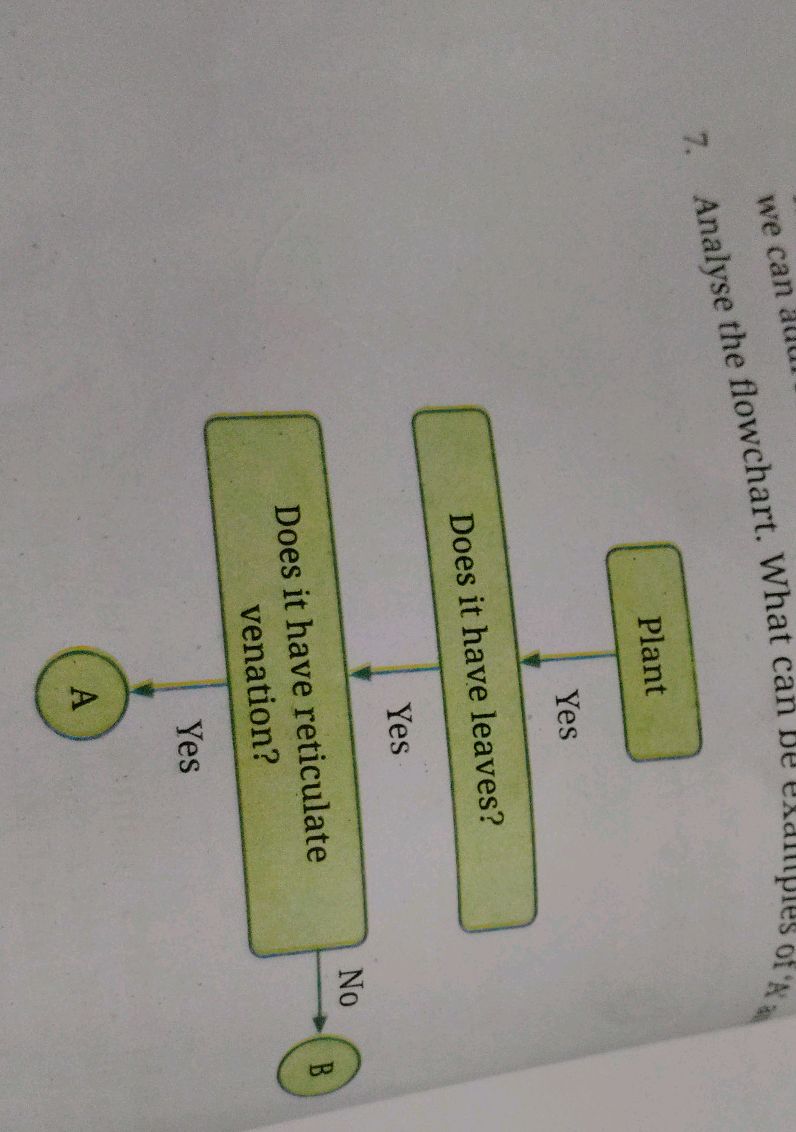 7. Analyse the flowchart. What can be | StudyX