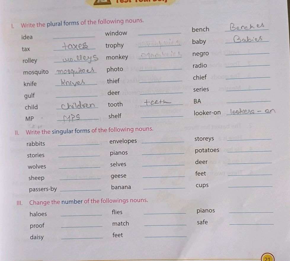 I. Write the plural forms of the following | StudyX