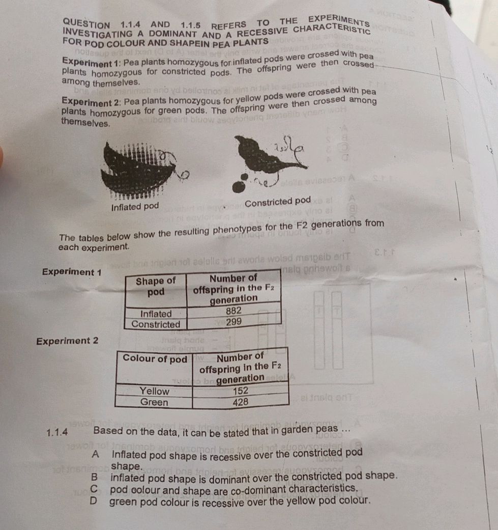 QUESTION 1.1.4 AND 1.1.5 REFERS TO THE | StudyX