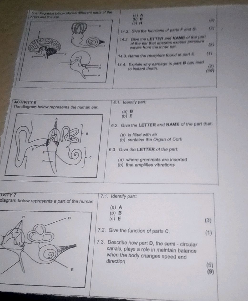 14. The diagrams below shows different | StudyX