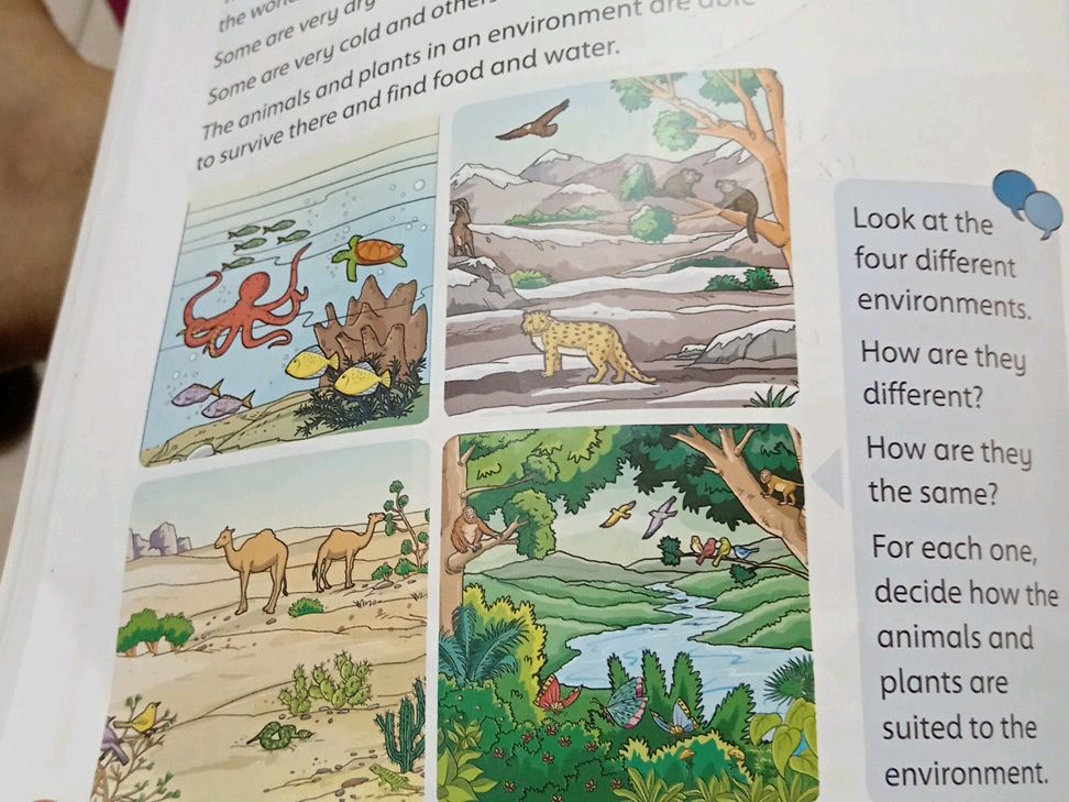 Look at the four different environments. | StudyX