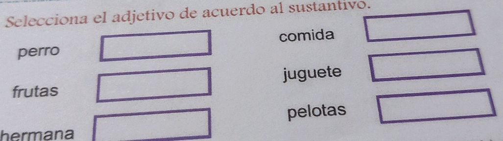 Selecciona el adjetivo de acuerdo al | StudyX