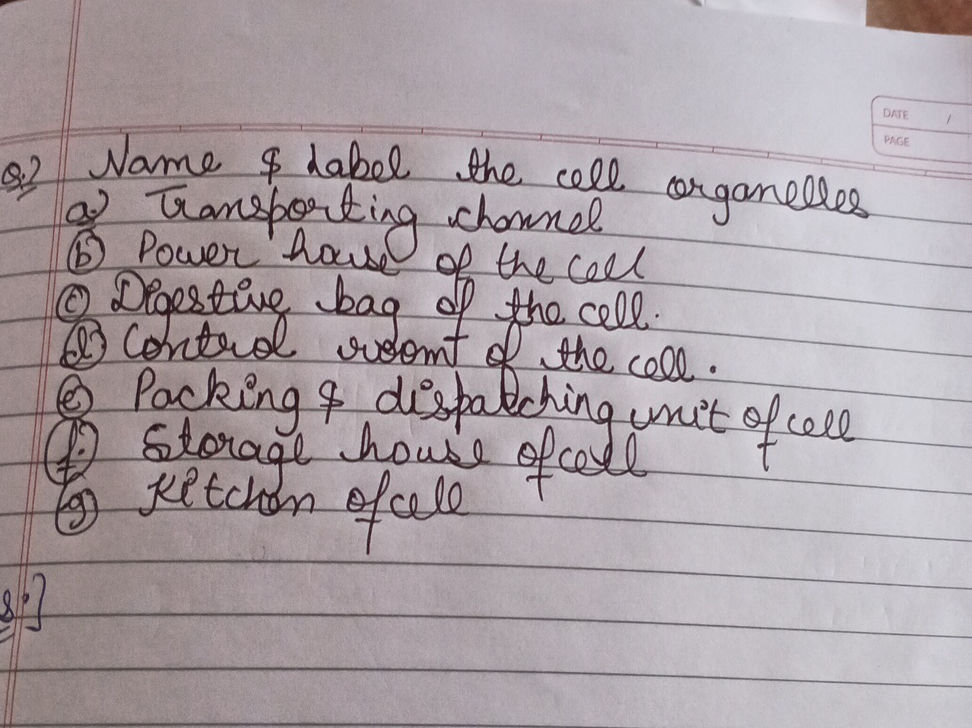 2 Name label the cell organelles a) | StudyX