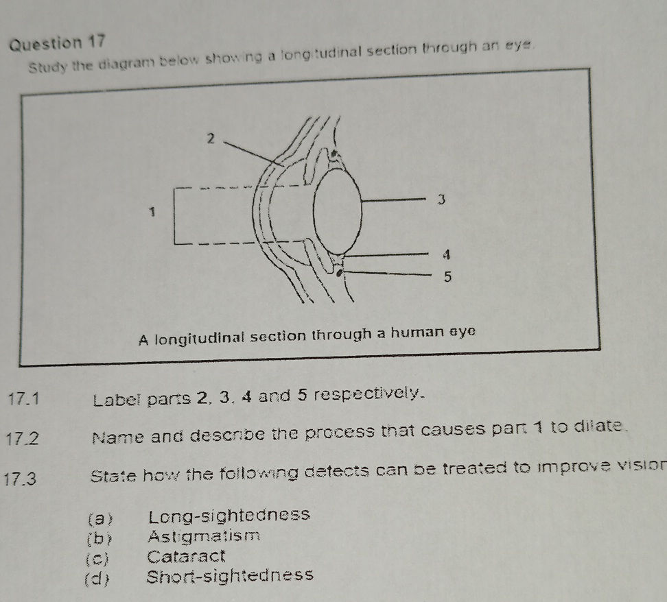 Question 17 Study the diagram below showing | StudyX