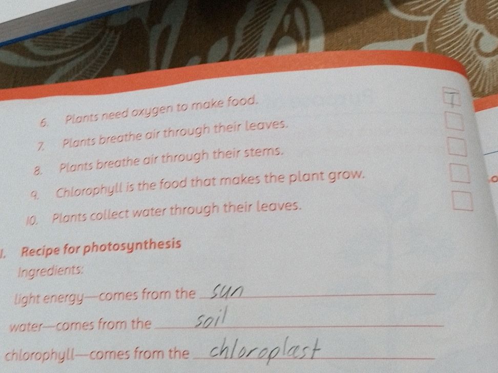 1. Recipe for photosynthesis Ingredients: | StudyX