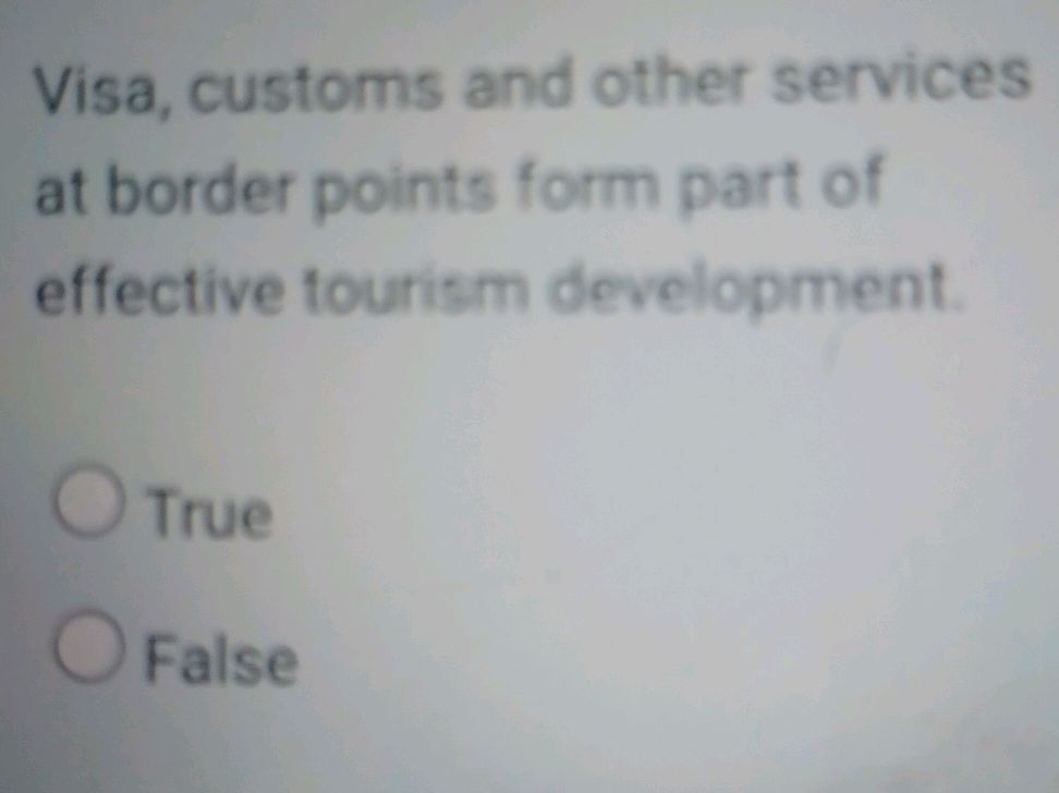 Visa, customs and other services at border