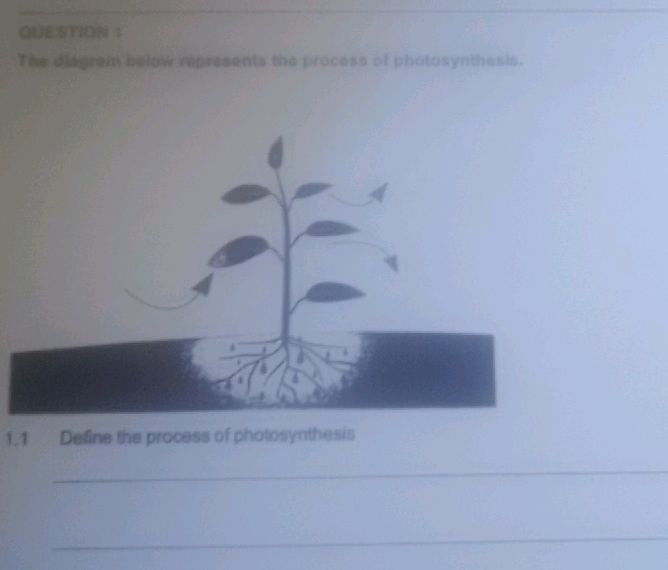 QUESTION 1 The diagram below represents the | StudyX