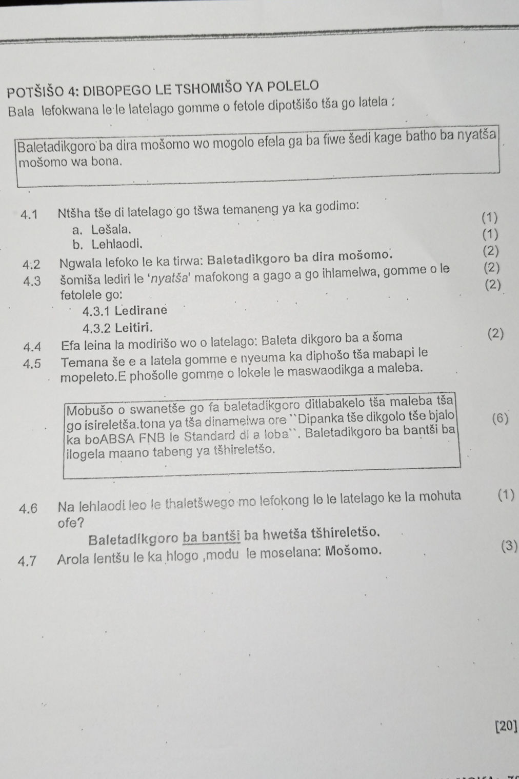 POTŠIŠO 4: DIBOPEGO LE TSHOMIŠO YA POLELO | StudyX