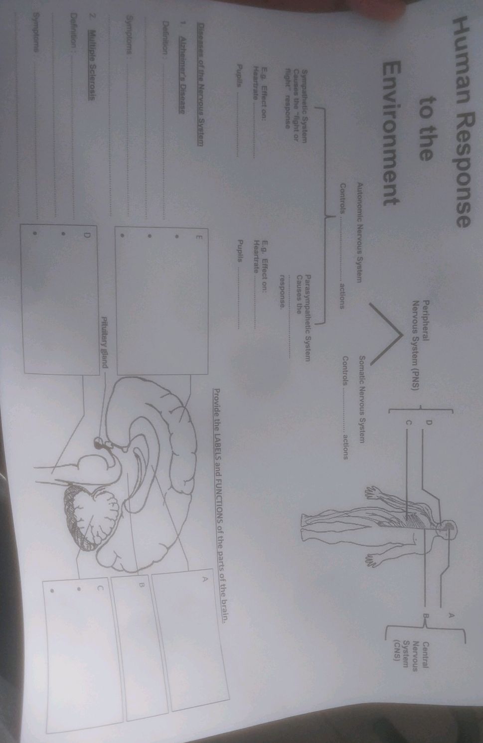 Provide the LABELS and FUNCTIONS of the | StudyX
