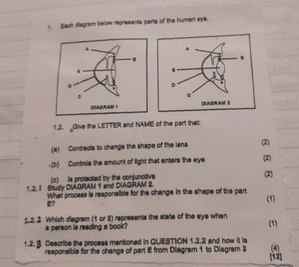 1. Each diagram below represents parts of | StudyX