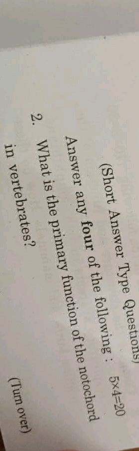 2. What is the primary function of the | StudyX