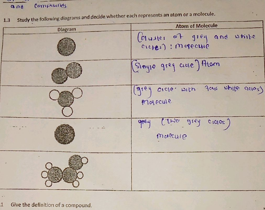 1.3 Study the following diagrams and decide | StudyX