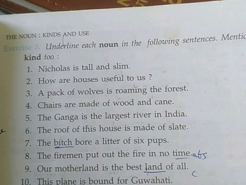 Exercise 3. Underline each noun in the | StudyX