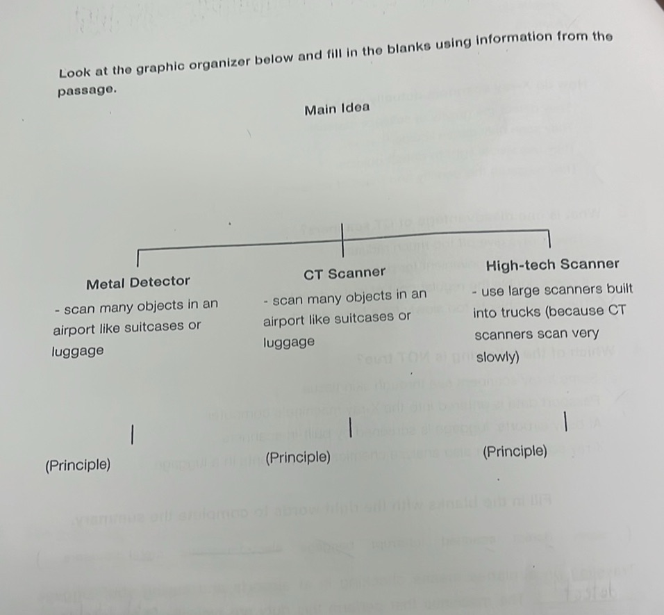 Look at the graphic organizer below and fill | StudyX
