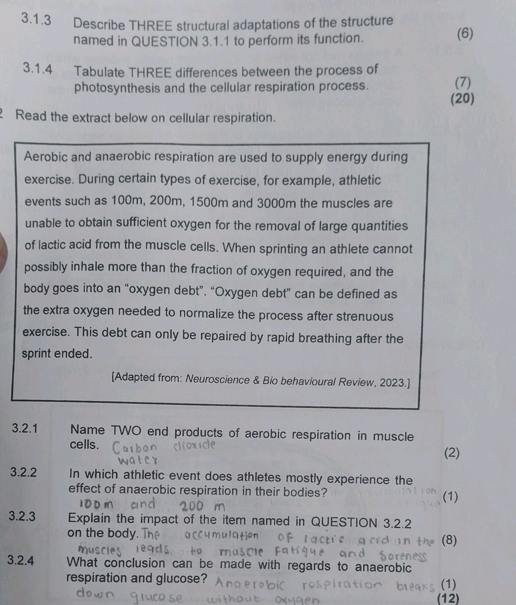 3.1.3 Describe THREE structural adaptations | StudyX