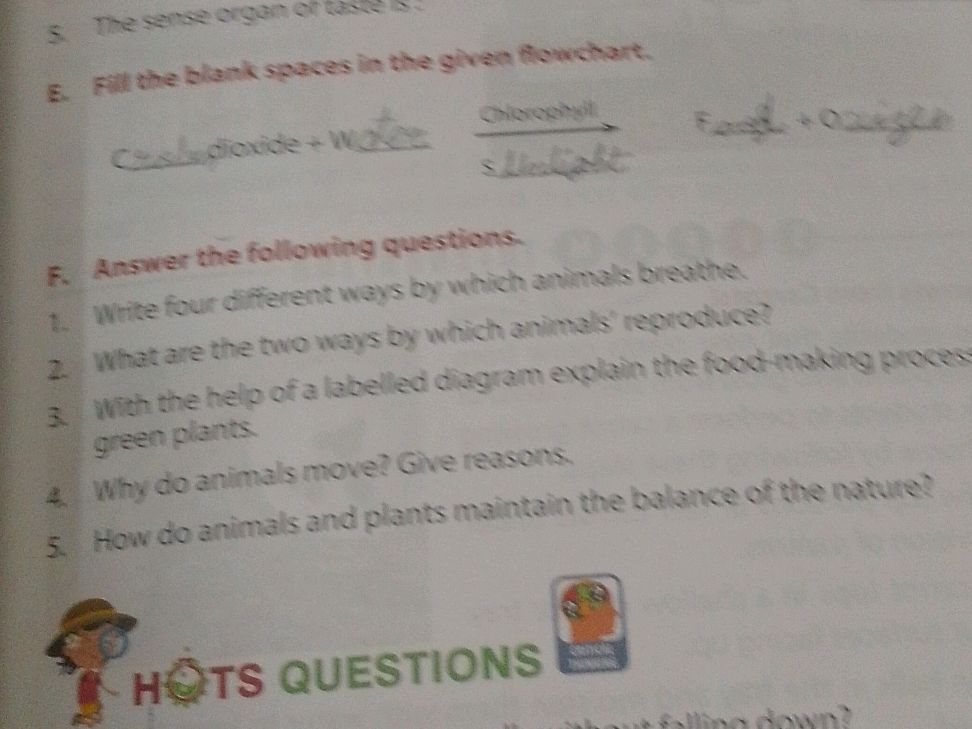 E. Fill the blank spaces in the given | StudyX