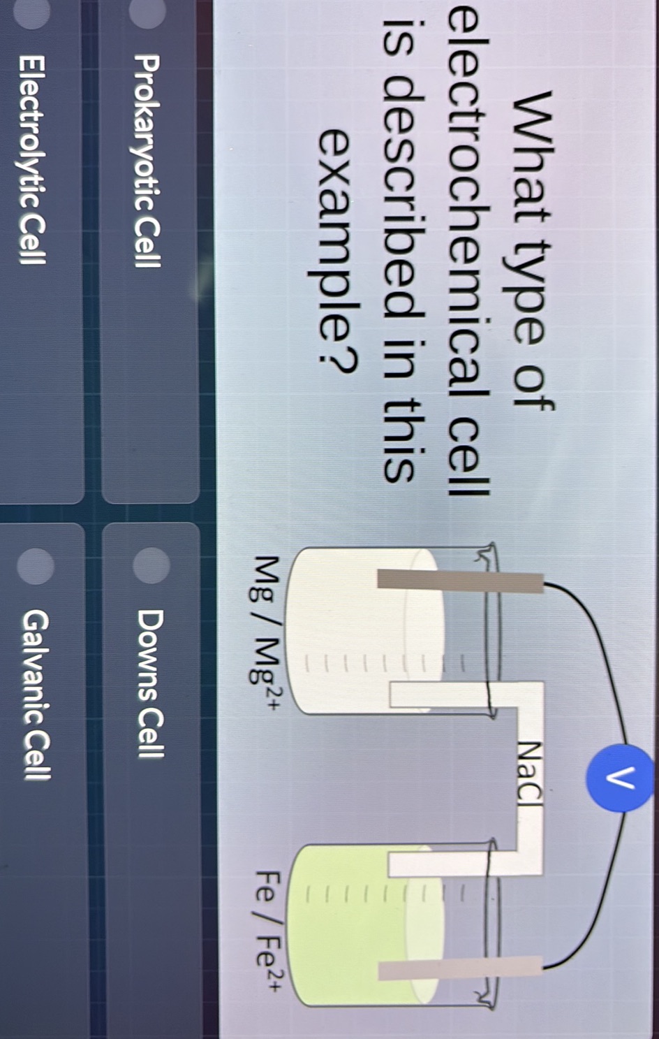 What type of electrochemical cell is | StudyX