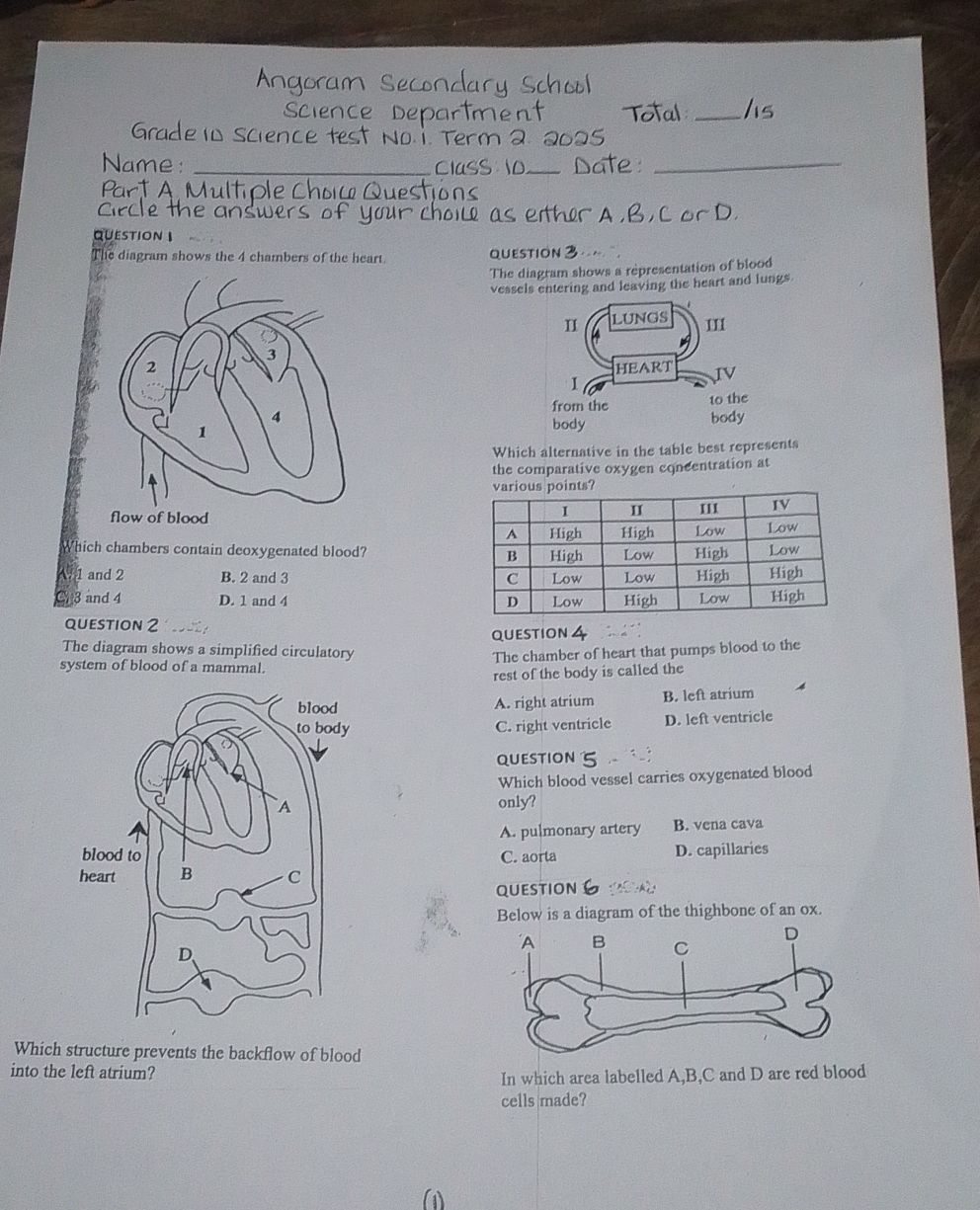 QUESTION 1 The diagram shows the 4 chambers | StudyX