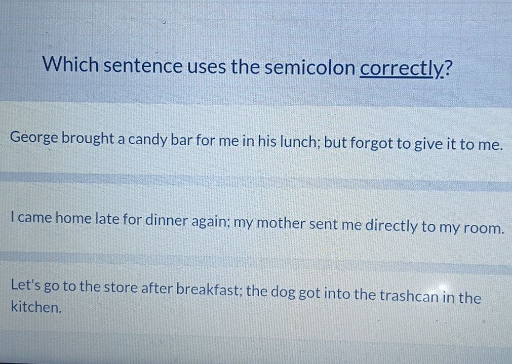 Which sentence uses the semicolon correctly? | StudyX