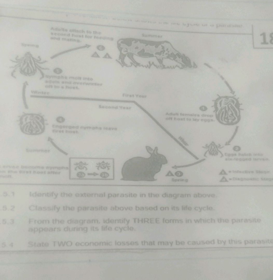 5.1 Identify the external parasite in the | StudyX