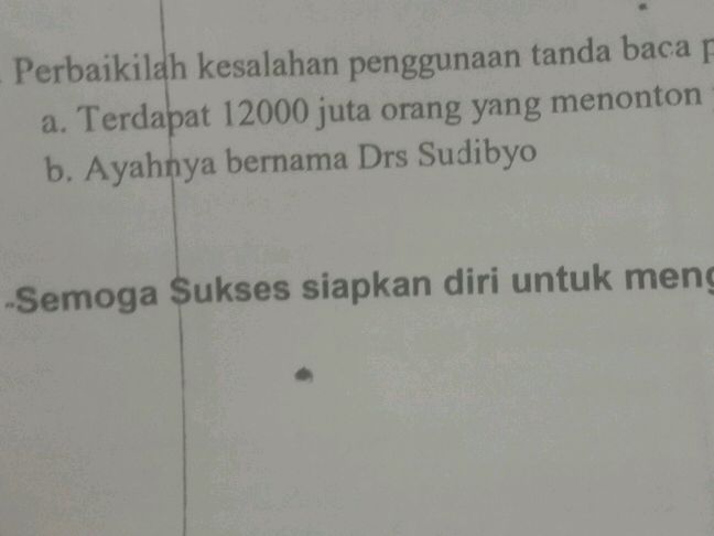 Perbaikilah kesalahan penggunaan tanda baca | StudyX