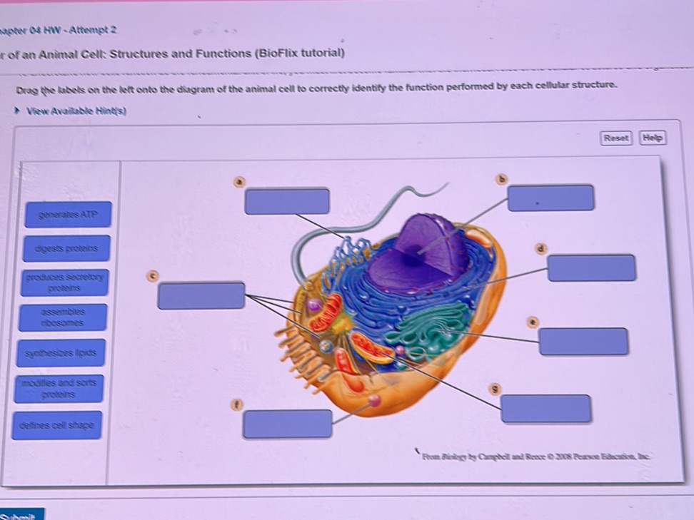 Drag the labels on the left onto the diagram | StudyX