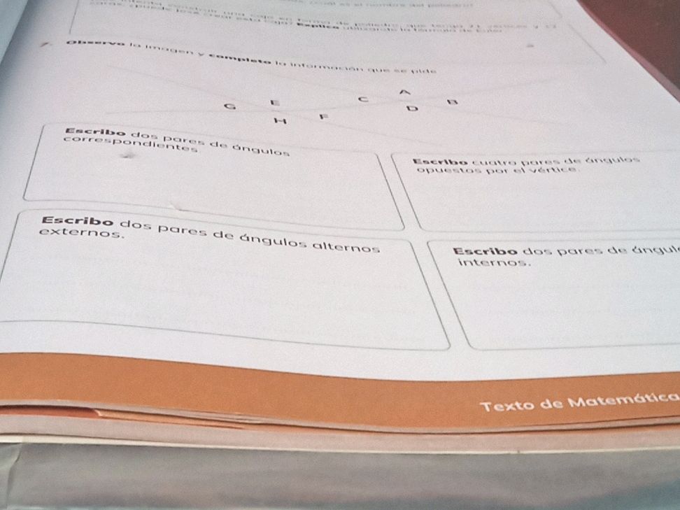 Observa la imagen y completa la información | StudyX