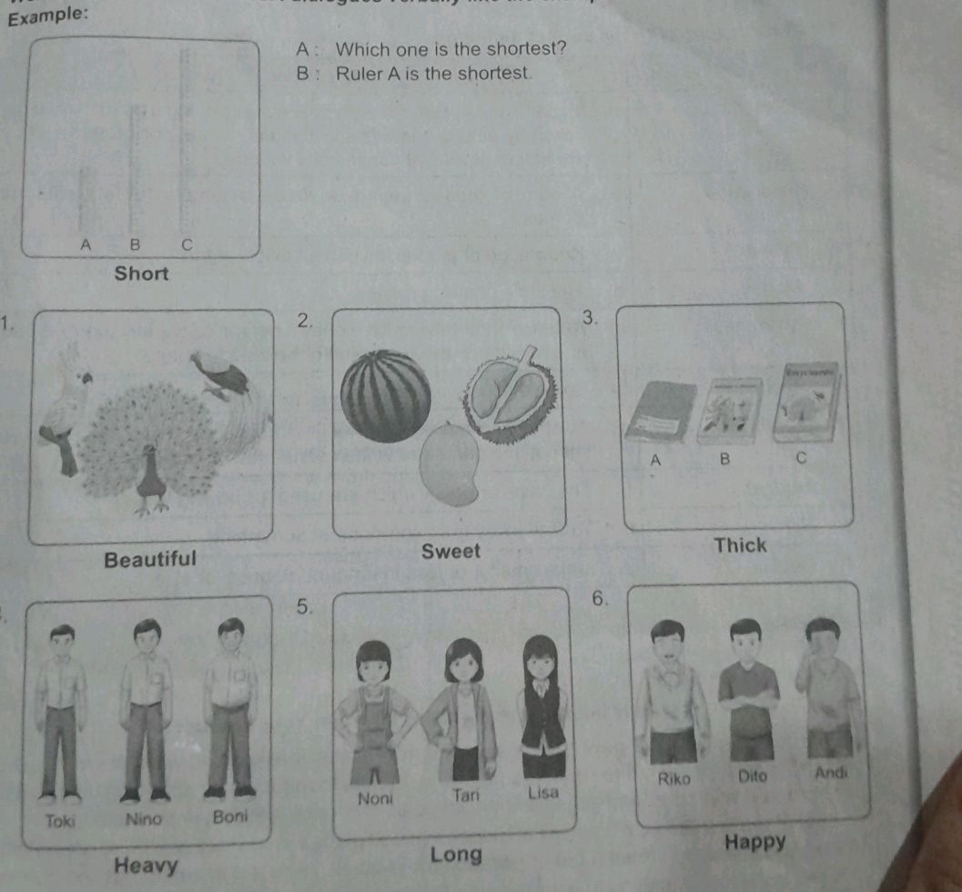 Example: A: Which one is the shortest? B: | StudyX