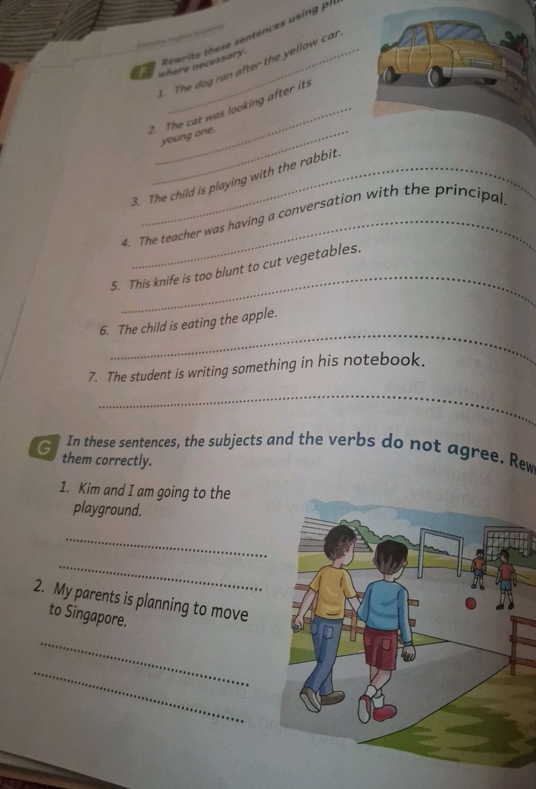 Rewrite these sentences using plurals where | StudyX