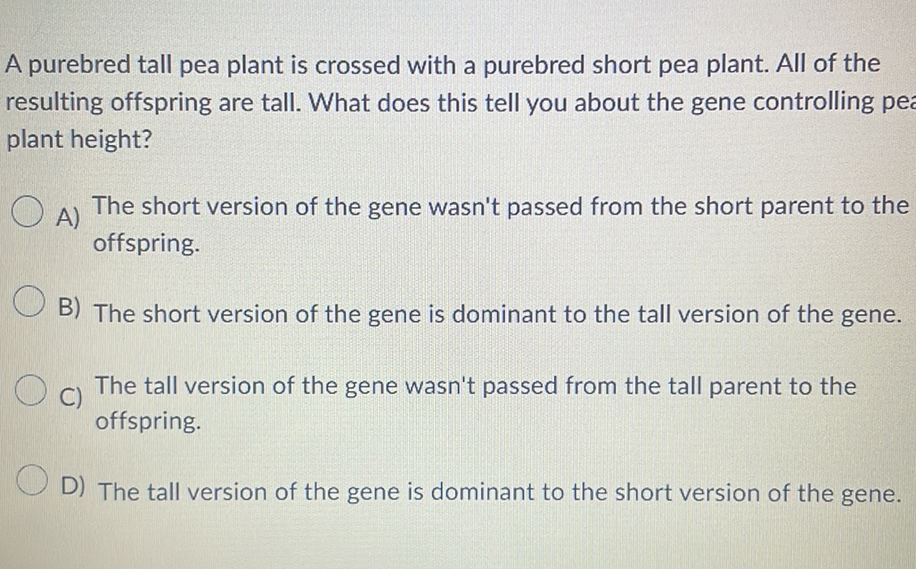 A purebred tall pea plant is crossed with a