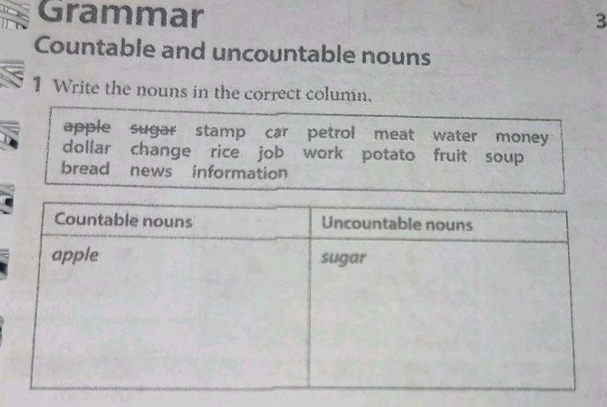 Write the nouns in the correct column. | | StudyX