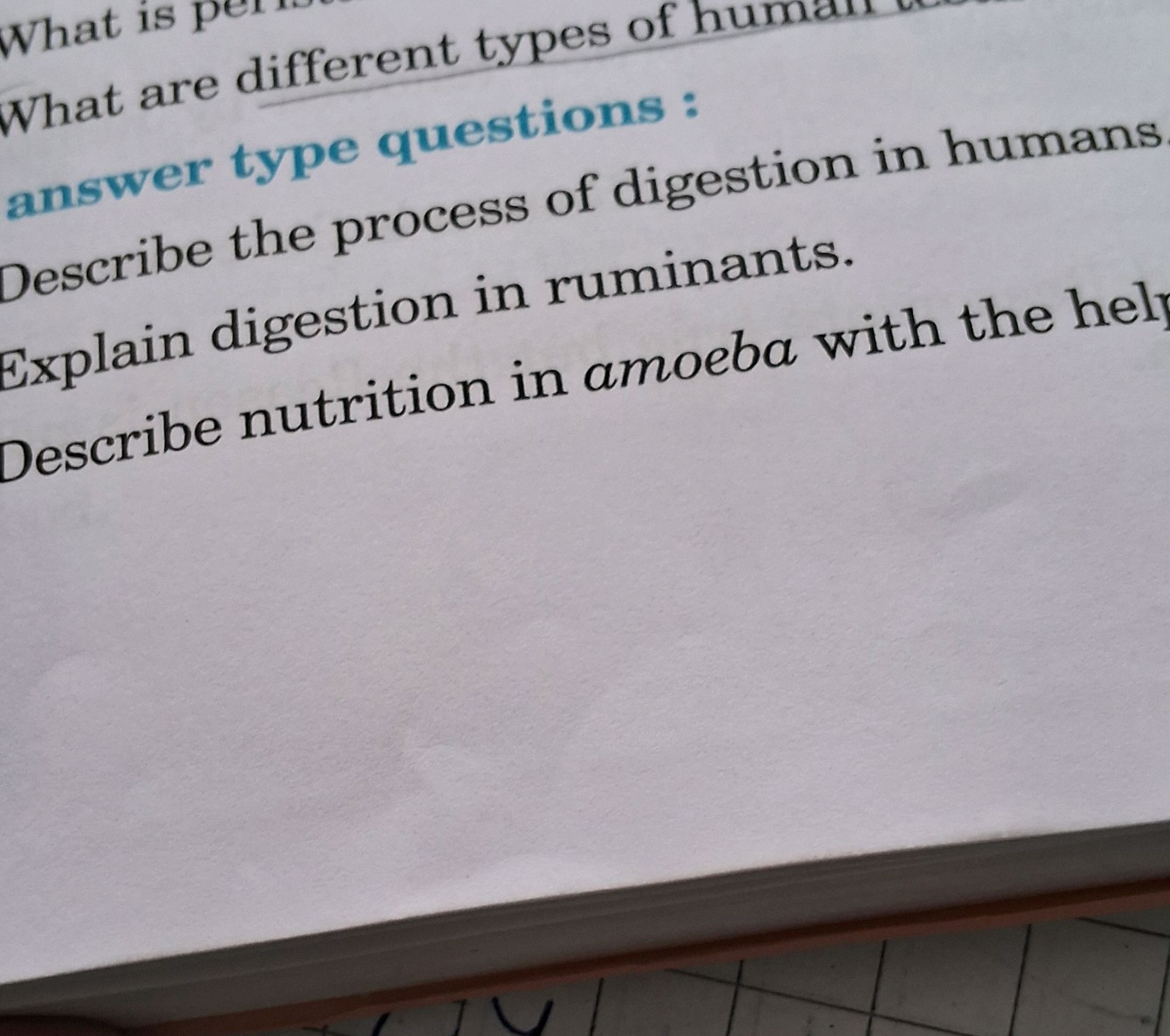 Describe the process of digestion in humans. | StudyX