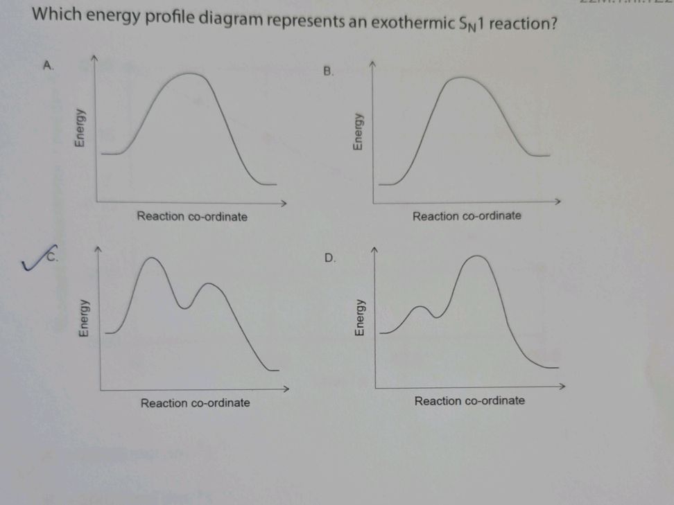 Which energy profile diagram represents an | StudyX