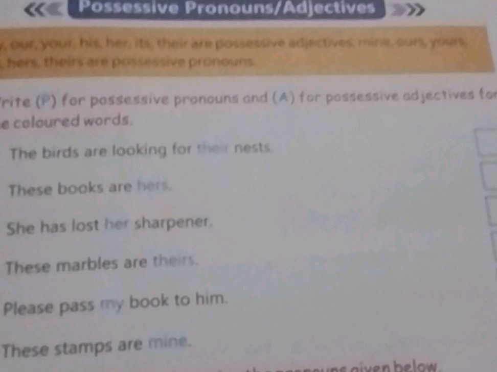 Write (P) for possessive pronouns and (A) | StudyX