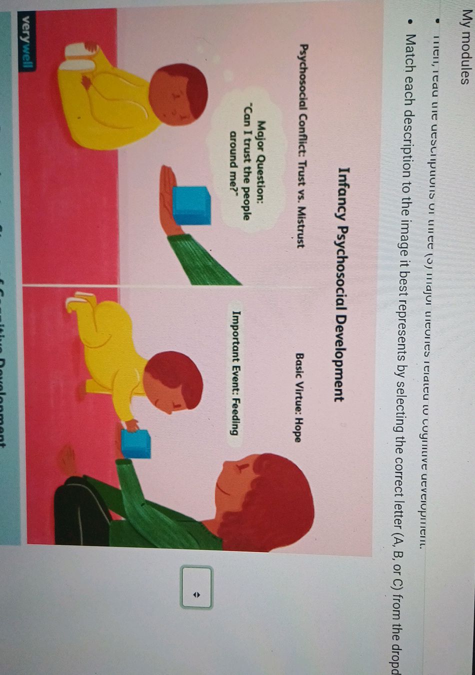 Match each description to the image it best | StudyX