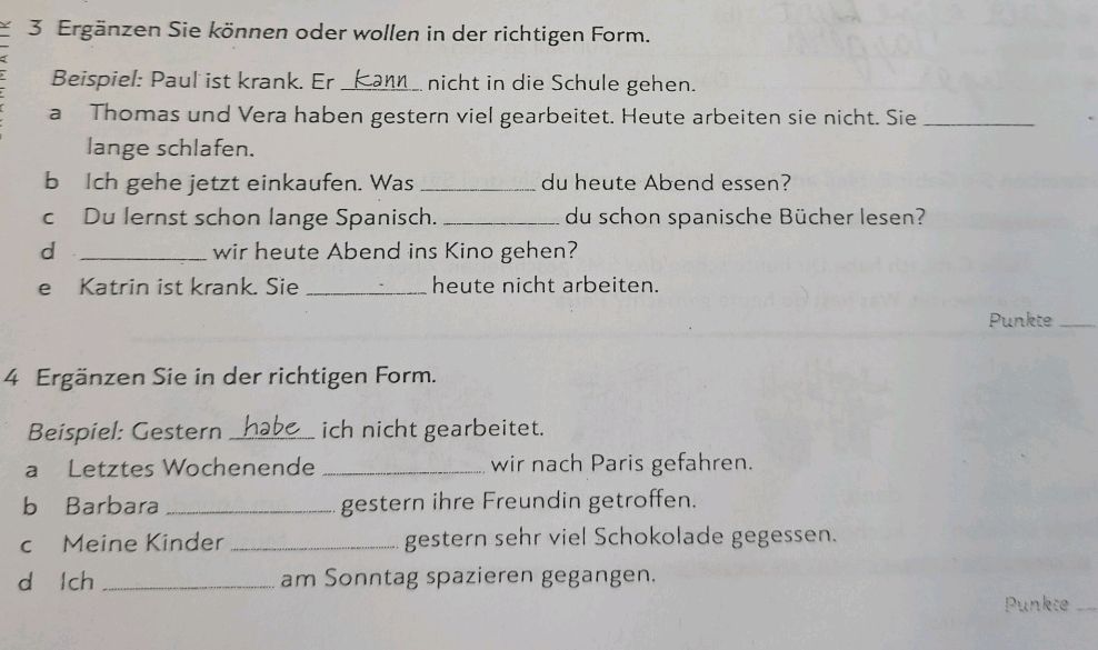 3 Ergänzen Sie können oder wollen in der | StudyX