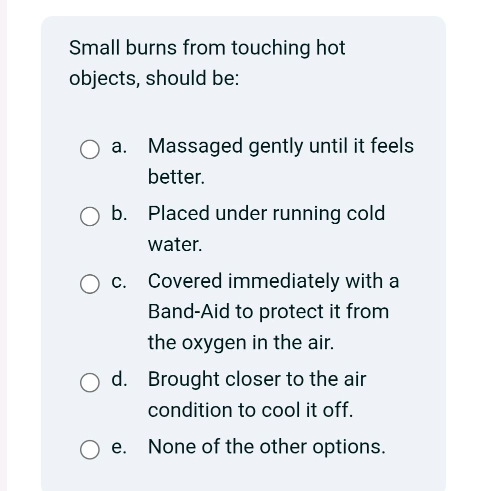 Small burns from touching hot objects, | StudyX