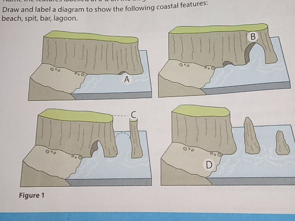 Draw and label a diagram to show the | StudyX
