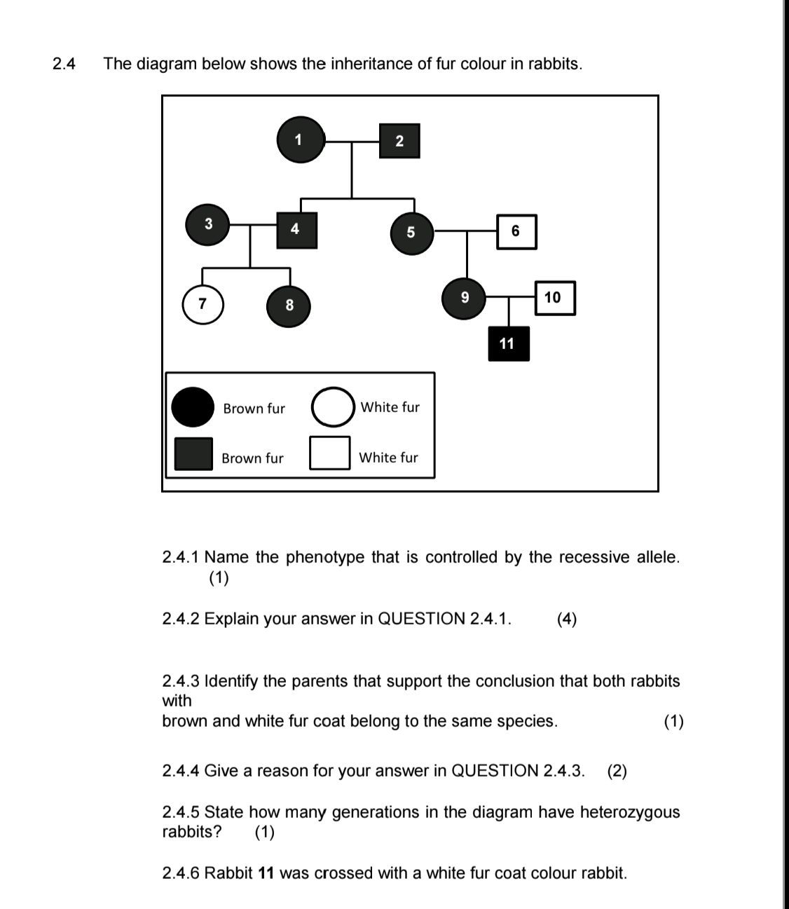 2.4 The diagram below shows the inheritance | StudyX