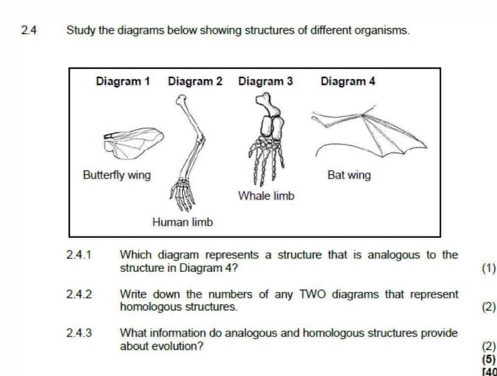 Study the diagrams below showing structures | StudyX