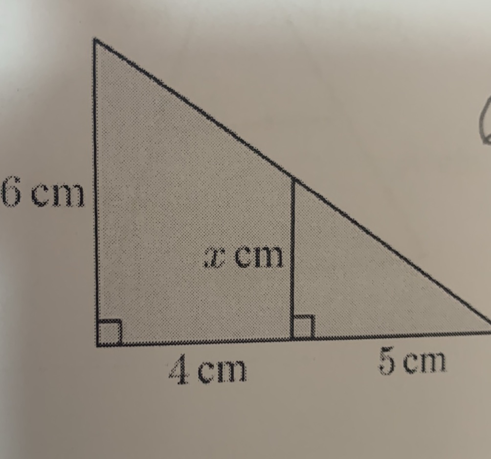 The image shows a triangle with a smaller | StudyX