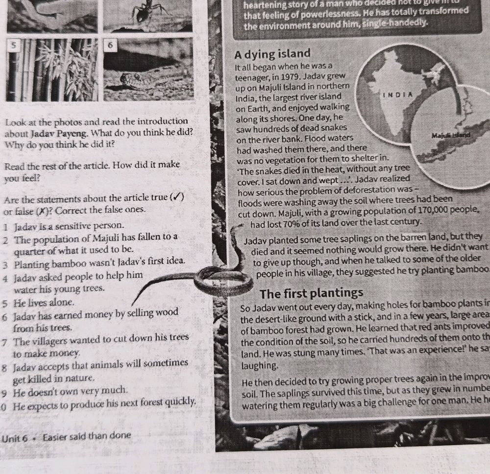 Look at the photos and read the introduction | StudyX