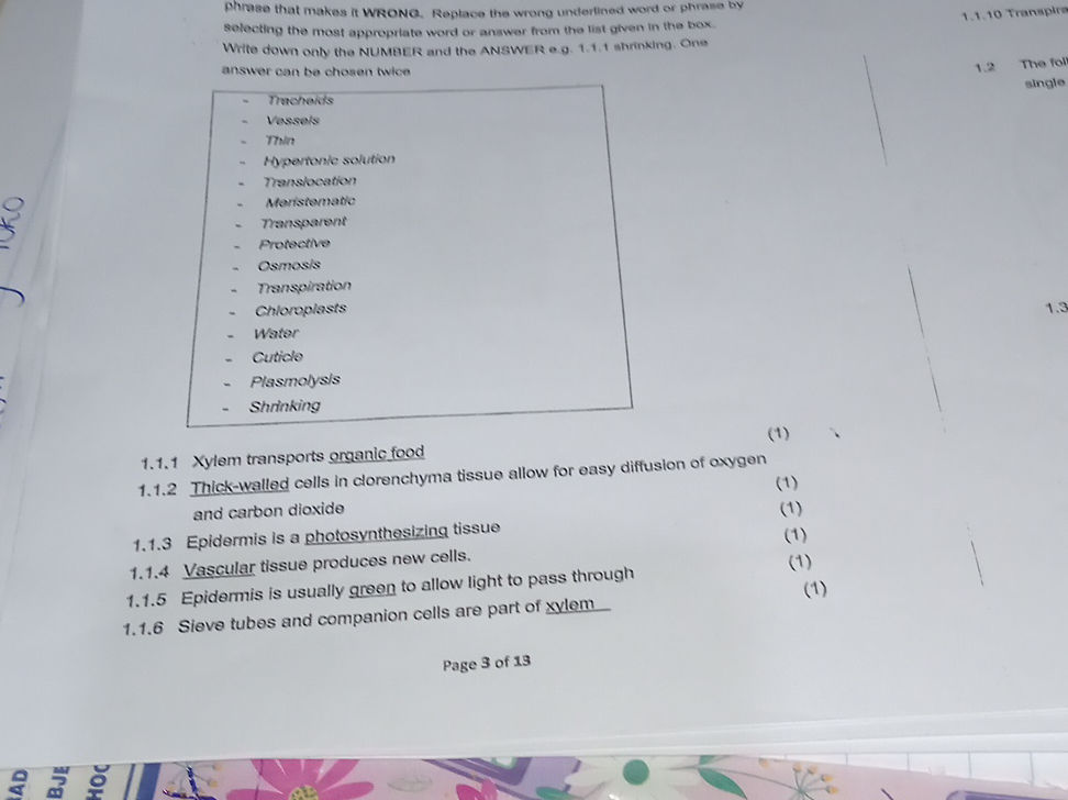 Replace the wrong underlined word or phrase | StudyX