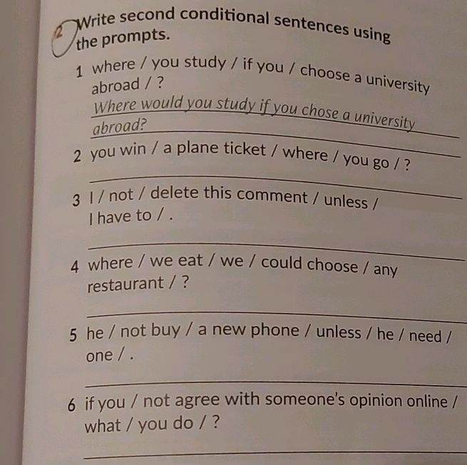 Write second conditional sentences using the | StudyX
