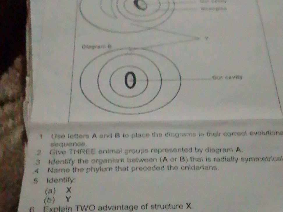 1. Use letters A and B to place the diagrams | StudyX